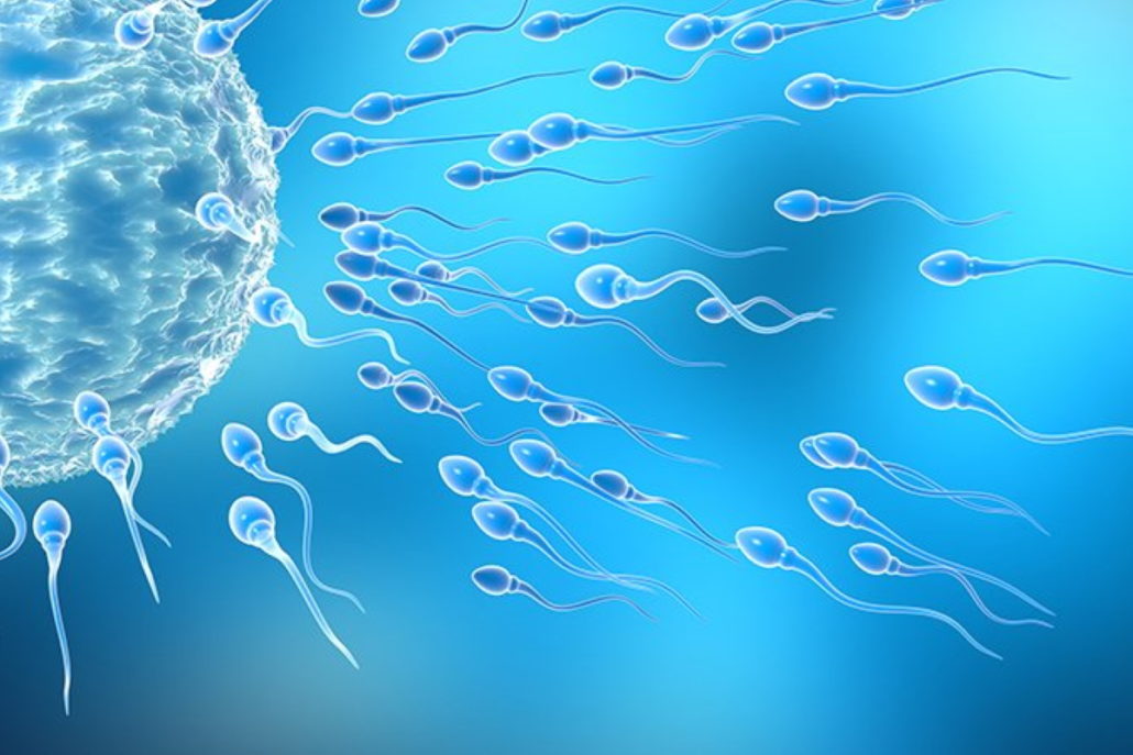 Infertility-Explained - Healthtips by TeleMe